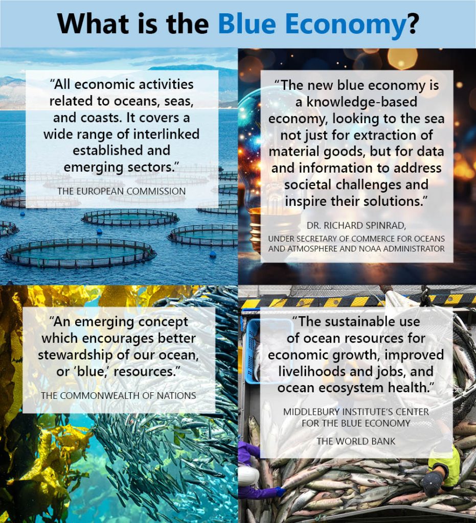 The Blue Economy: What Is It and What’s New?